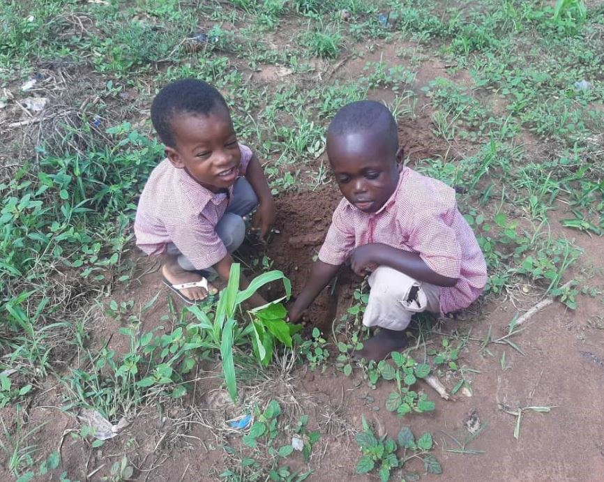 Preschool children in Benin planting trees - Graine de vie
